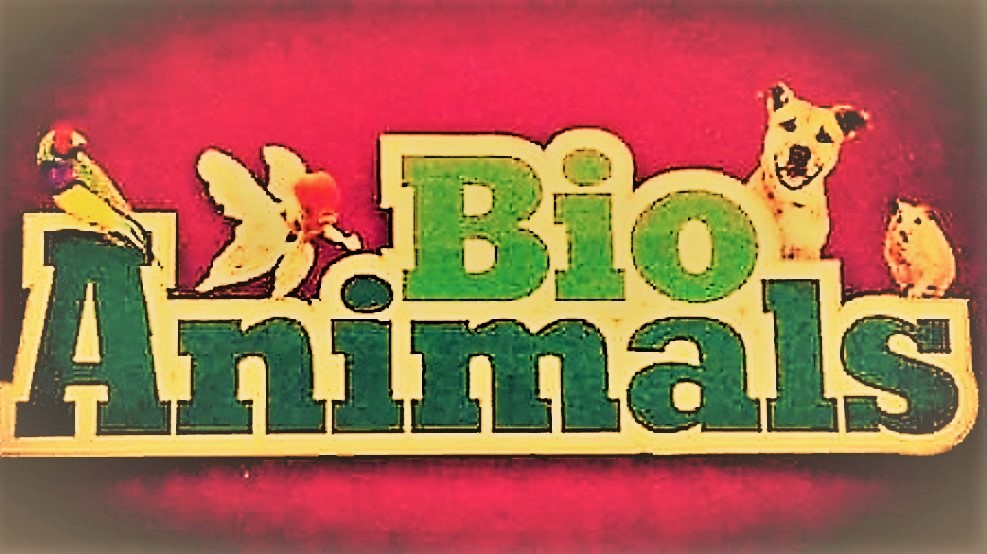 BIO ANIMALS - Amarillas de Colombia .Co | El Directorio Virtual
