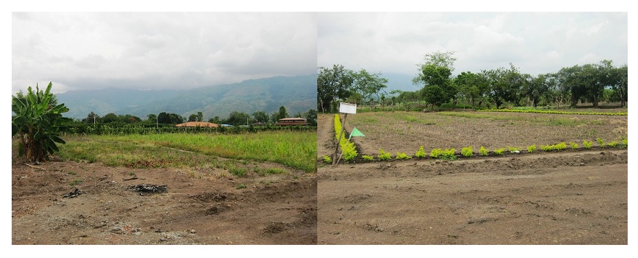 PARCELACIÓN EL OTÚN - Amarillas de Colombia .Co | El Directorio Virtual